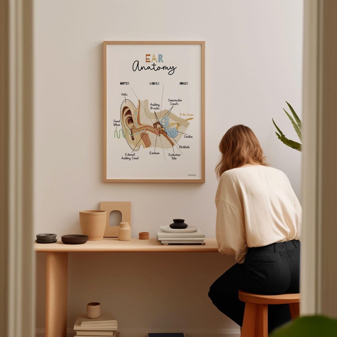 Ear Anatomy Poster Speech Therapy L ENT Office Decor, Speech Therapist ...