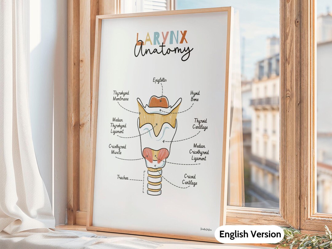 Downloadable Larynx Anatomy Poster, SLP Office Decor, Speech Therapist ...