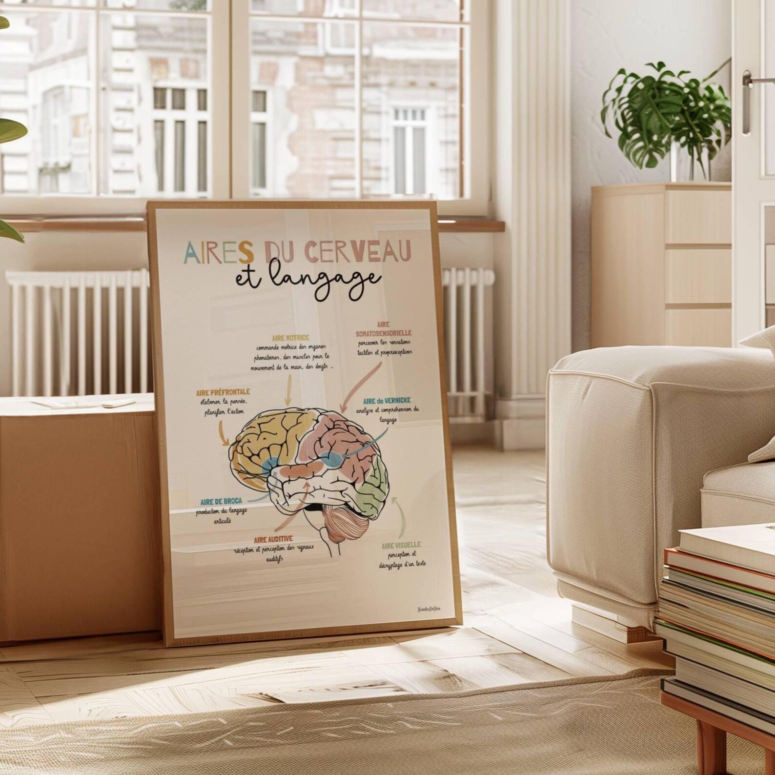 Brain Anatomy in French, Speech Therapy Poster, Speech Language ...