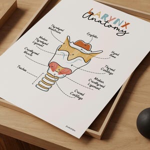 Downloadable Larynx Anatomy Poster, SLP Office Decor, Speech Therapist ...