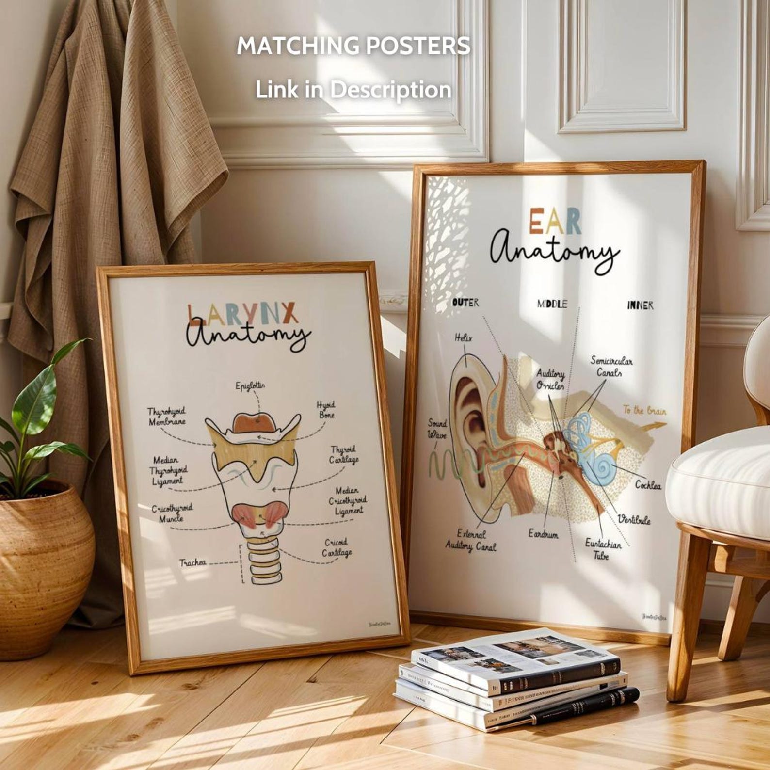 Ear Anatomy Poster Speech Therapy L ENT Office Decor, Speech Therapist ...