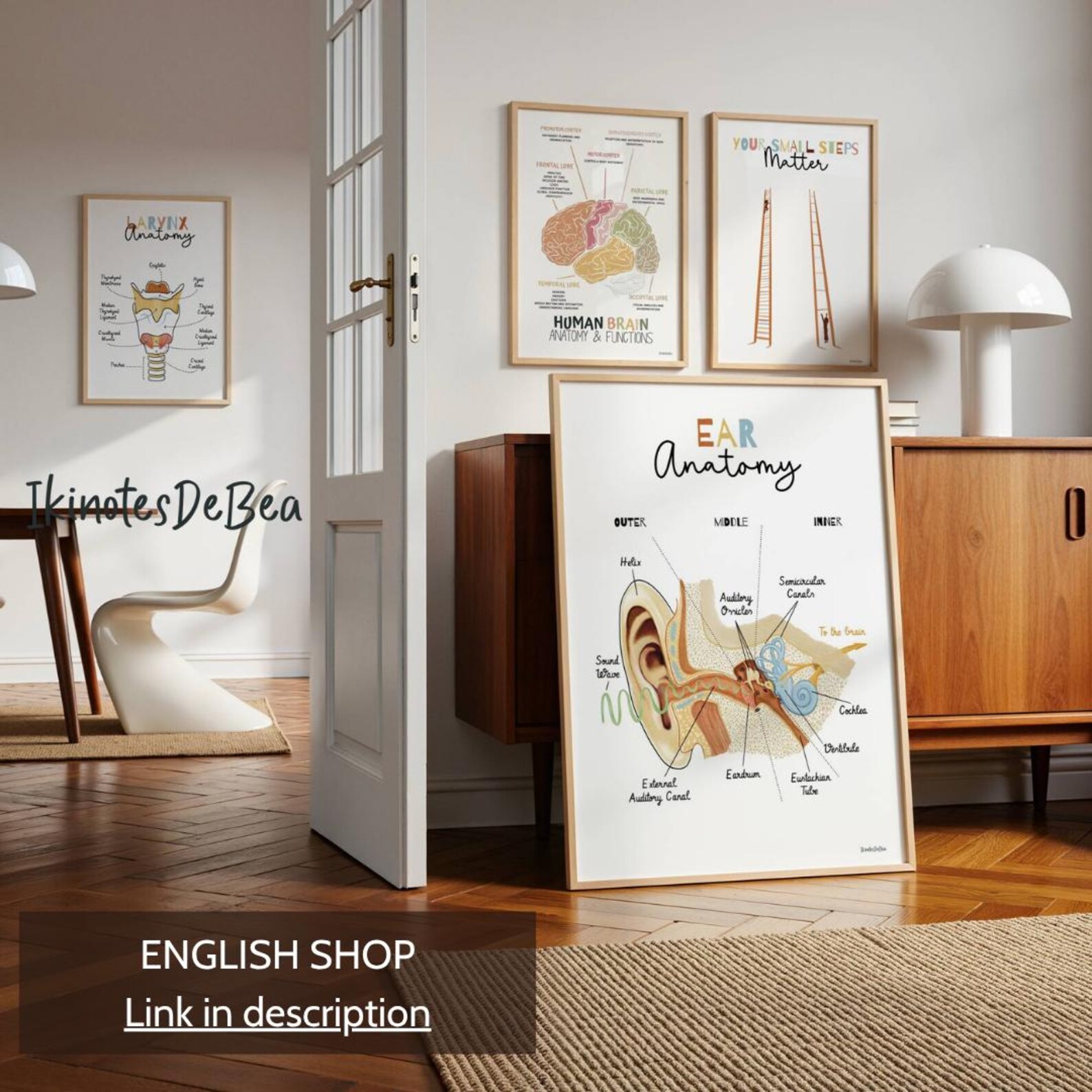 Ear Anatomy Poster Speech Therapy L ENT Office Decor, Speech Therapist ...