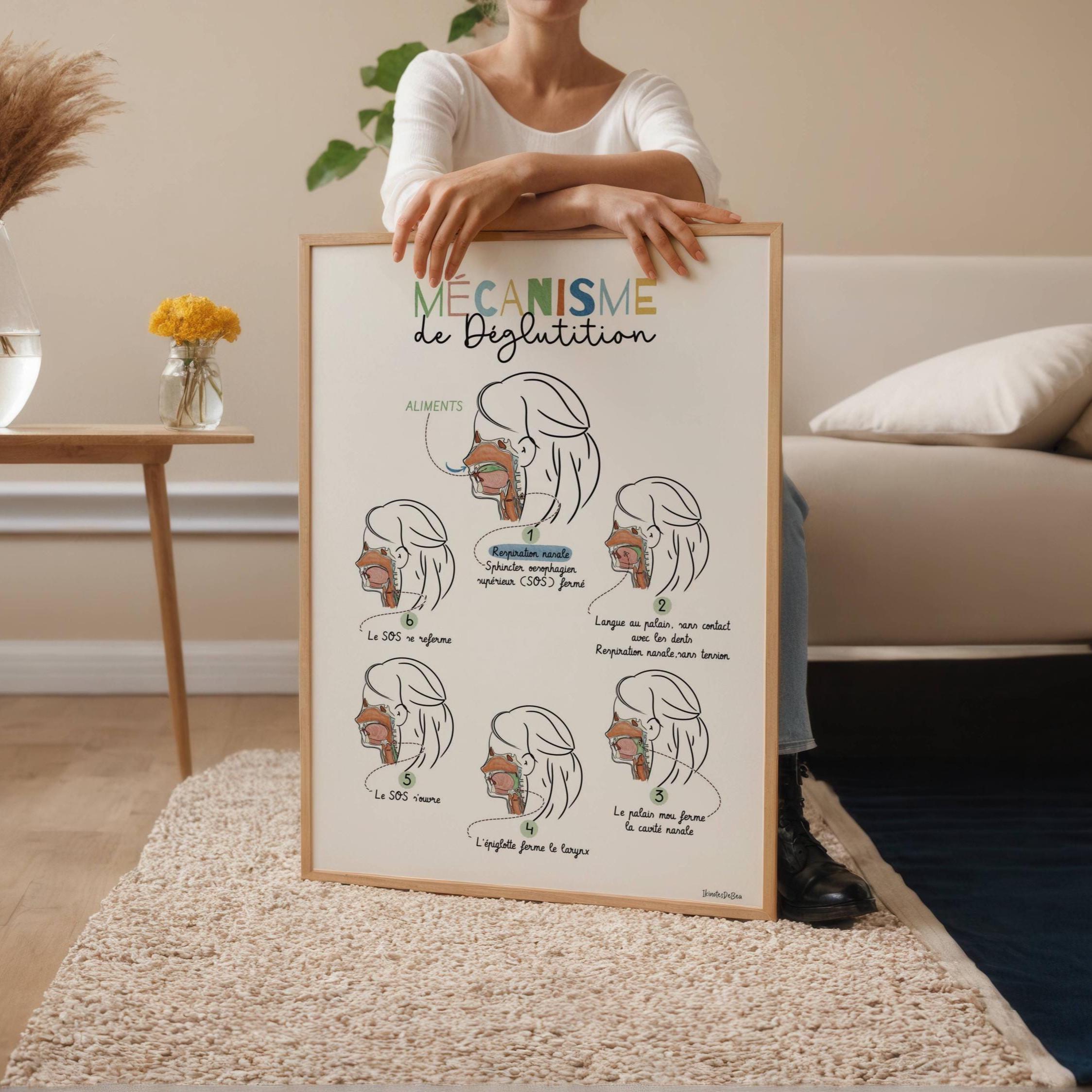 Swallowing Mechanism, Speech Therapy Poster in French, ENT Office Decor ...
