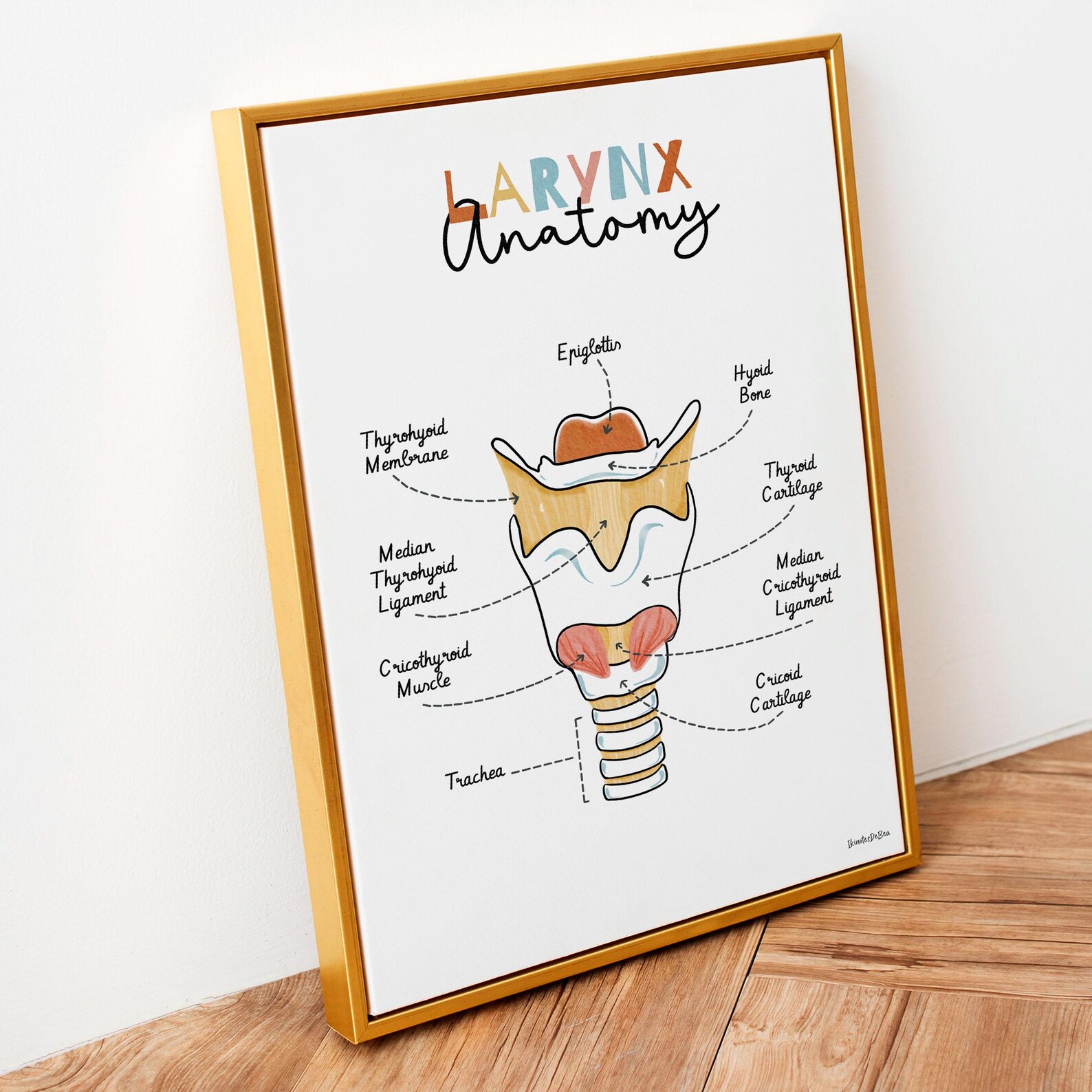 Downloadable Larynx Anatomy Poster, SLP Office Decor, Speech Therapist ...