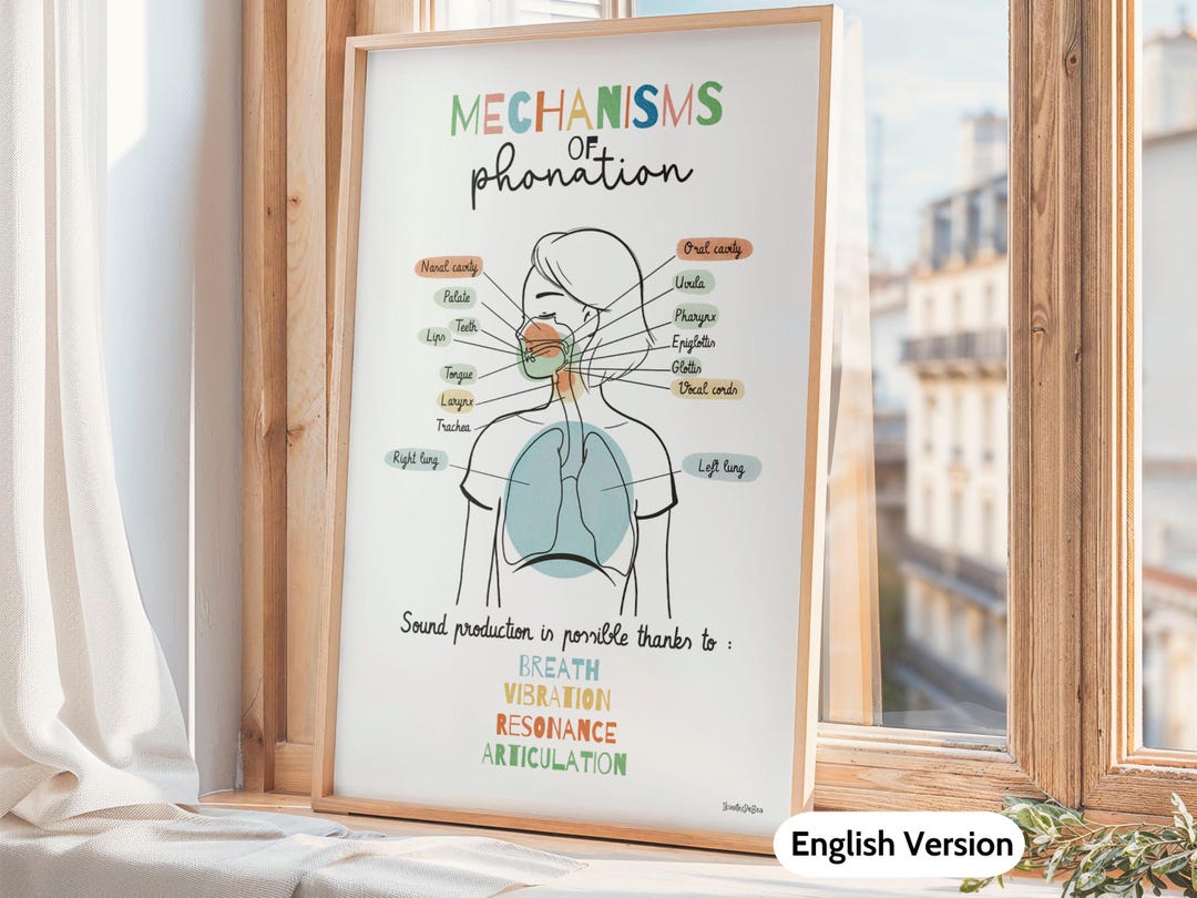 Speech Therapy Poster L Mechanisms of Phonation, Medical Art, Anatomy ...