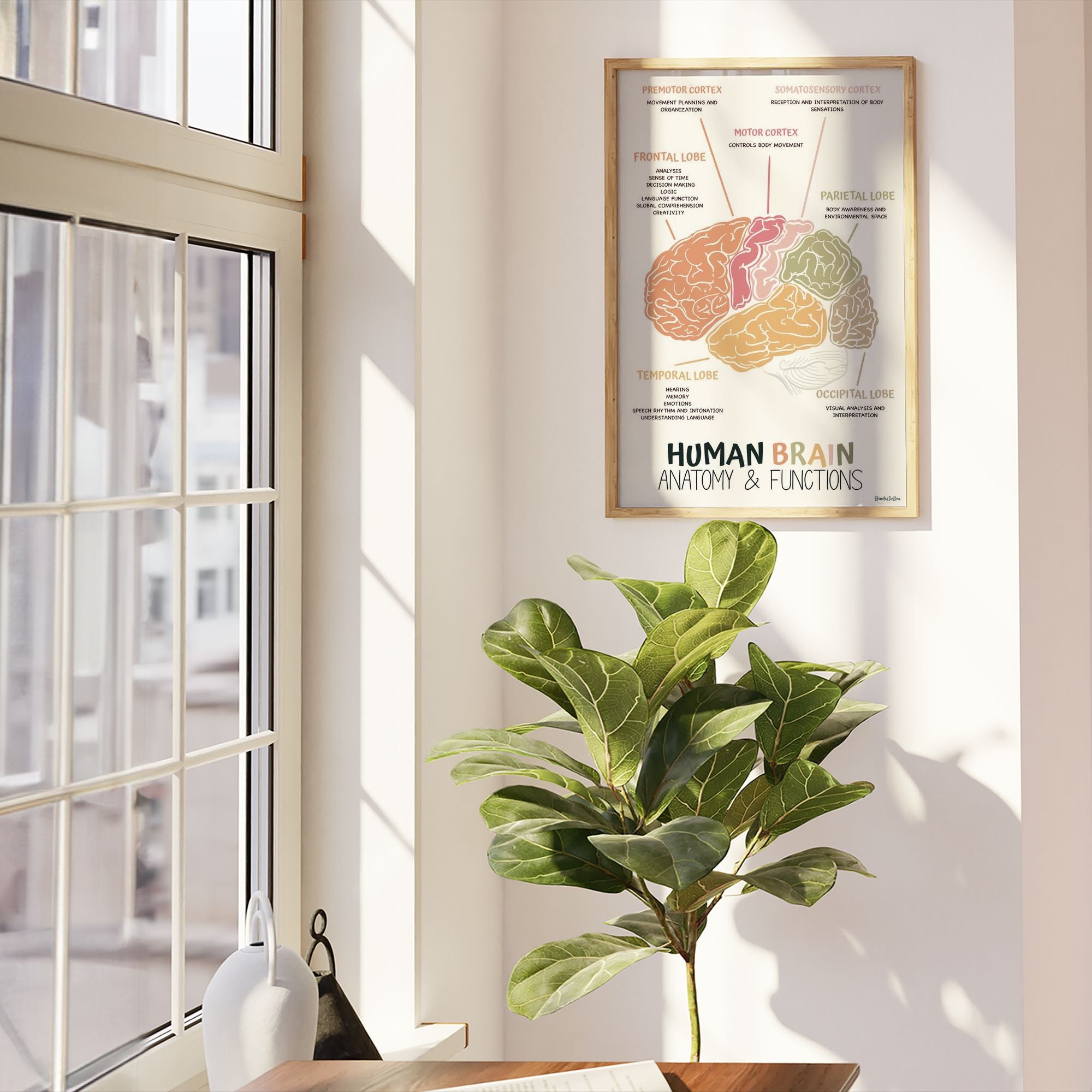 Anatomy and Functions Human Brain Poster, Therapy Office Decor, Human ...