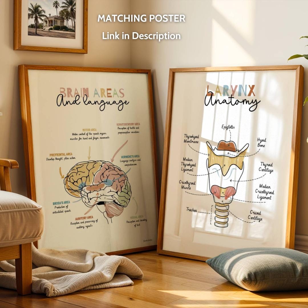 Downloadable Larynx Anatomy Poster, SLP Office Decor, Speech Therapist ...