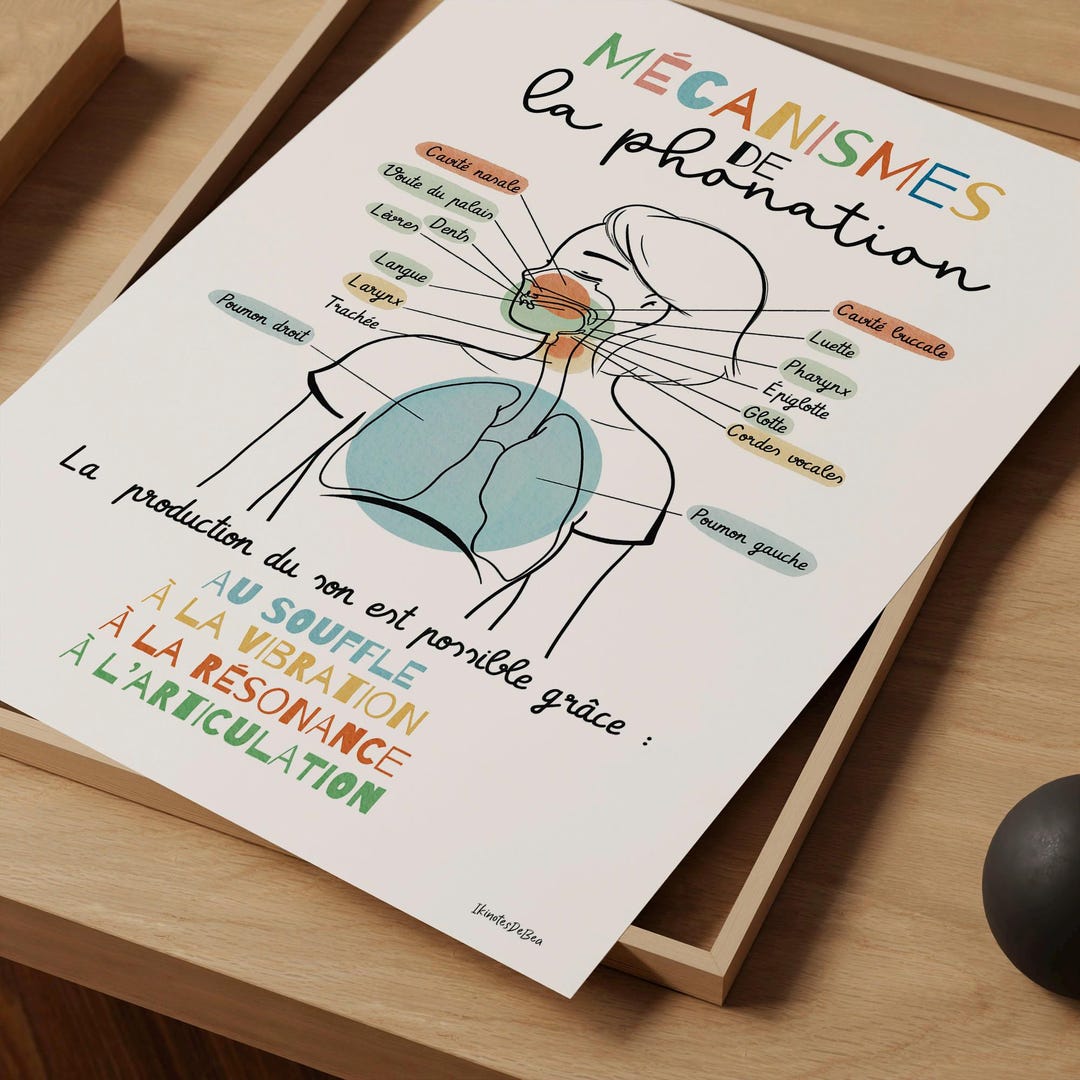 Speech Therapist Office Wall Art, Phonation Mechanisms Poster, French ...