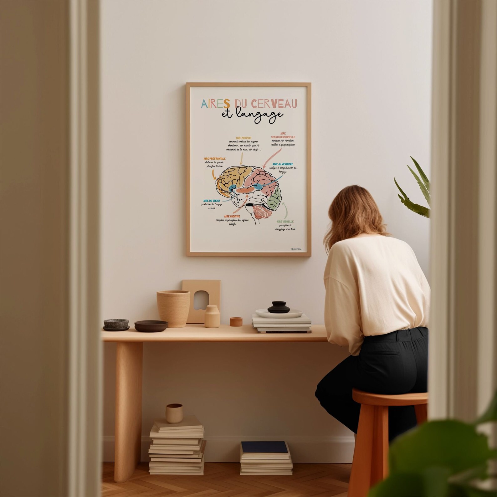 Brain Anatomy in French, Speech Therapy Poster, Speech Language ...