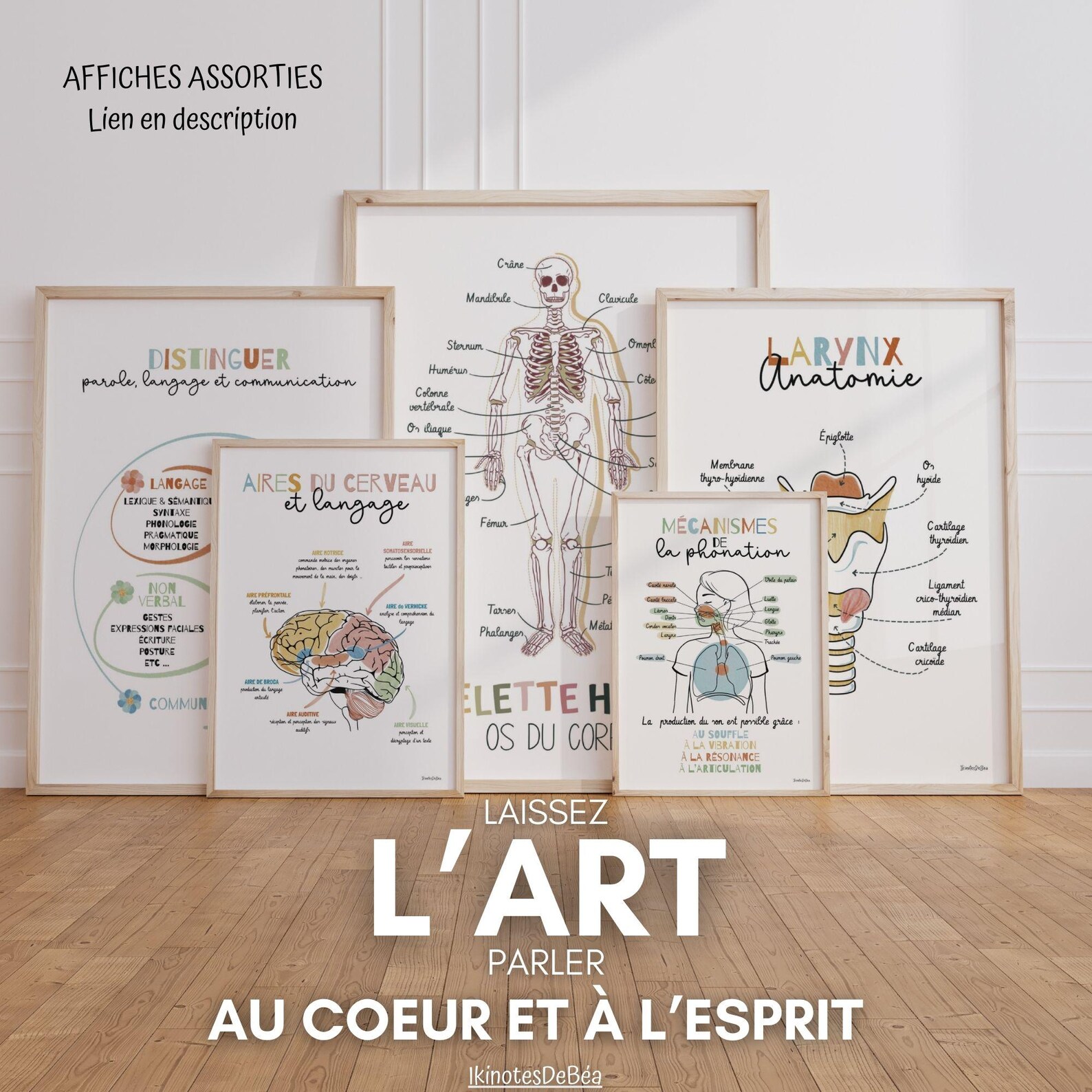 Office Decor Speech Therapy ENT, Anatomy Larynx Poster Phonation ...
