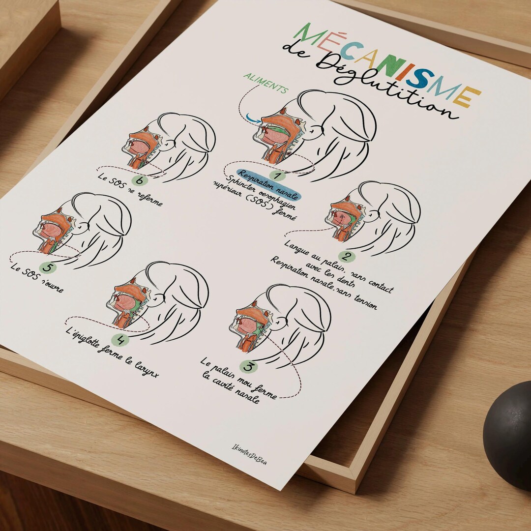 Swallowing Mechanism, Speech Therapy Poster in French, ENT Office Decor ...