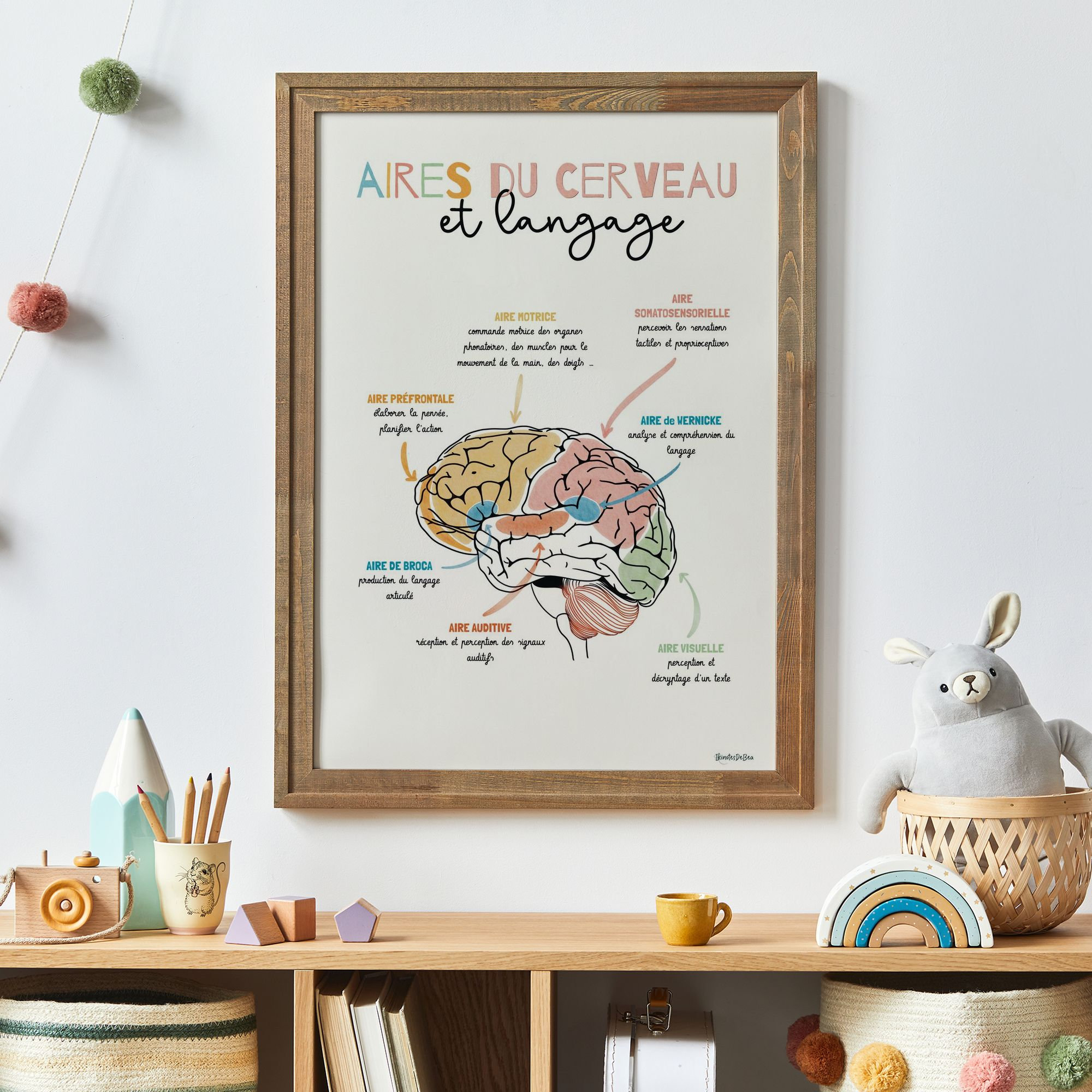 Brain Anatomy in French, Speech Therapy Poster, Speech Language ...