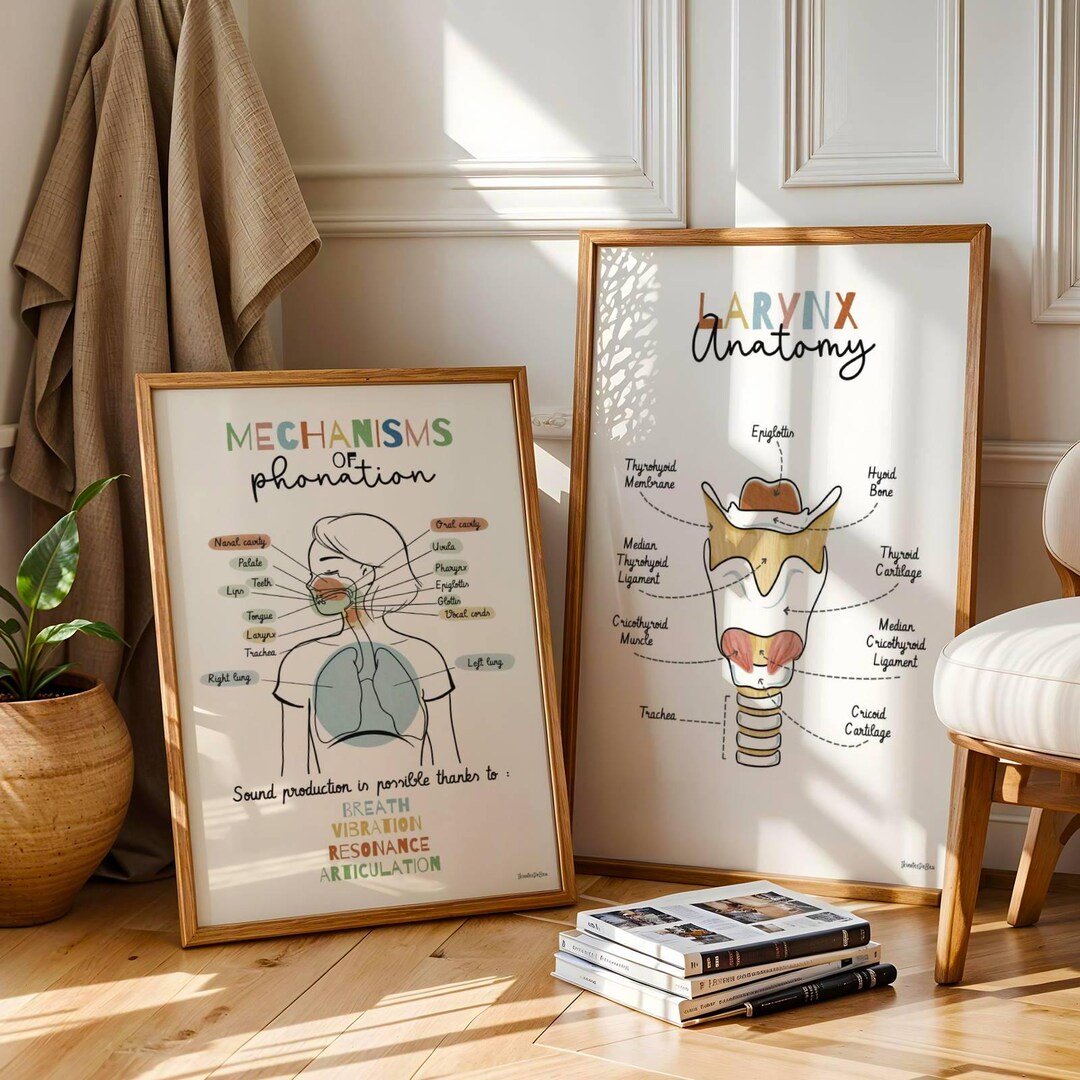 Office Decor Speech Therapy ENT, Anatomy Larynx Poster Phonation ...