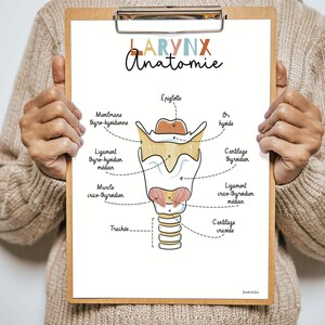 Anatomy of the Larynx Poster in French, SLP Office Decor, Speech ...