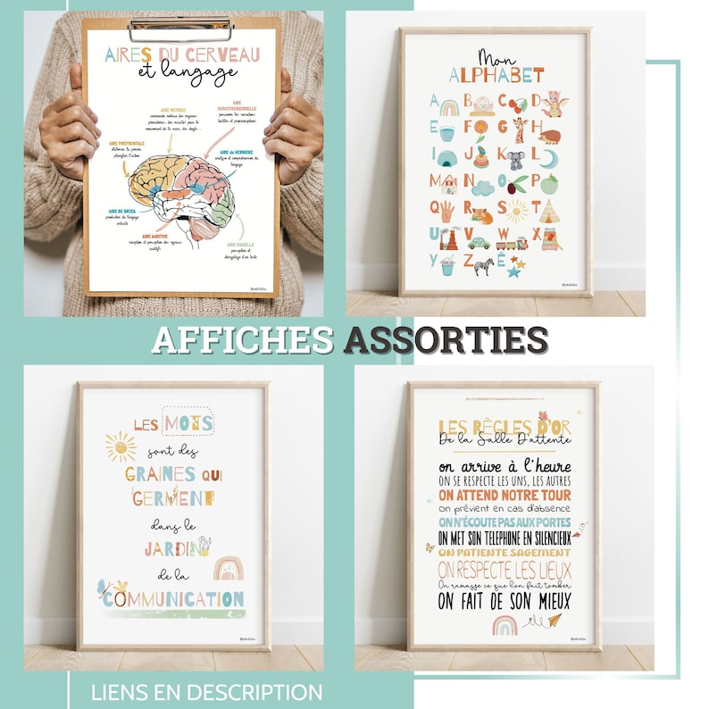 Brain Anatomy in French, Speech Therapy Poster, Speech Language ...