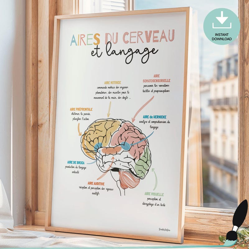 French Language Posters - Etsy