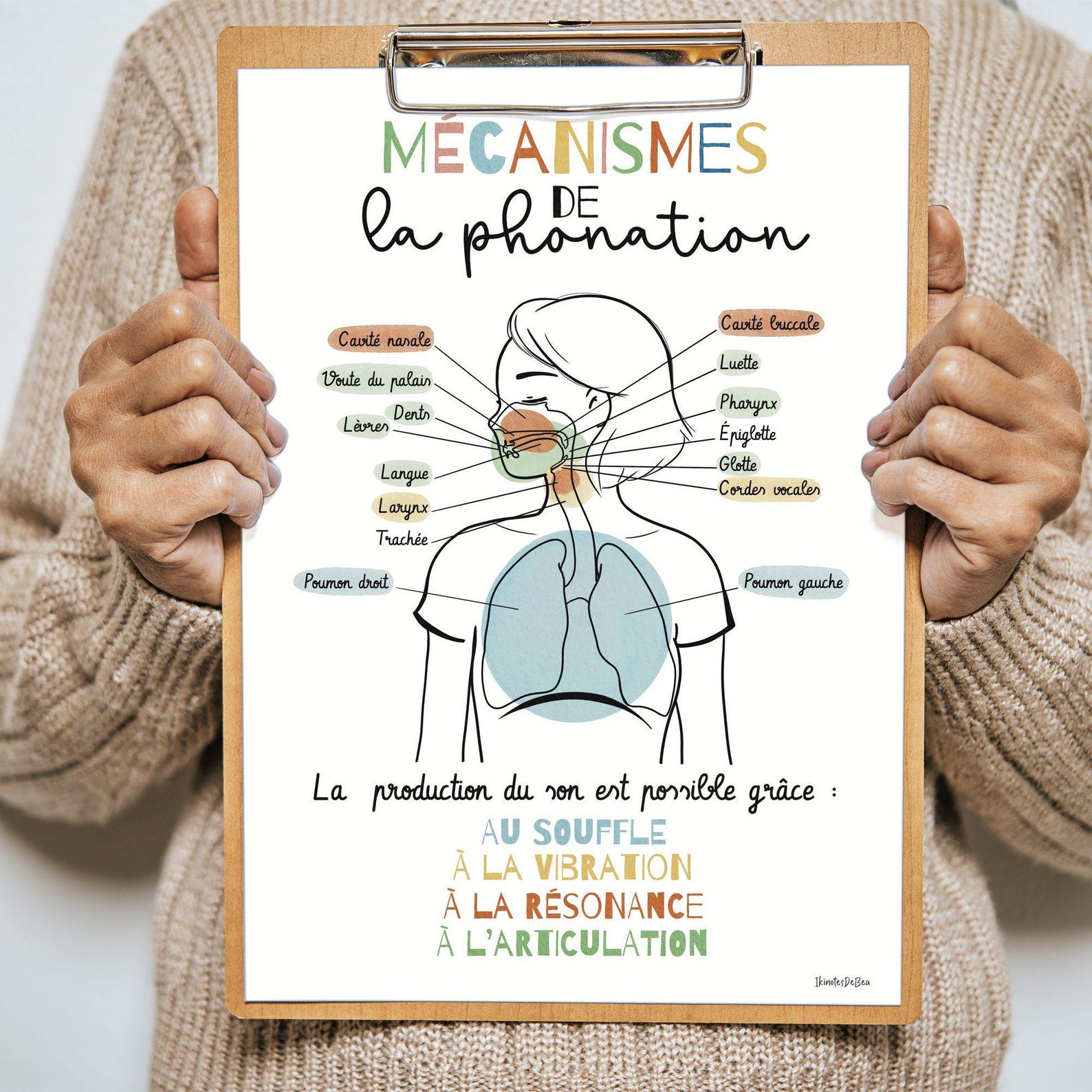 Office Decor Speech Therapy ENT, Anatomy Larynx Poster Phonation ...
