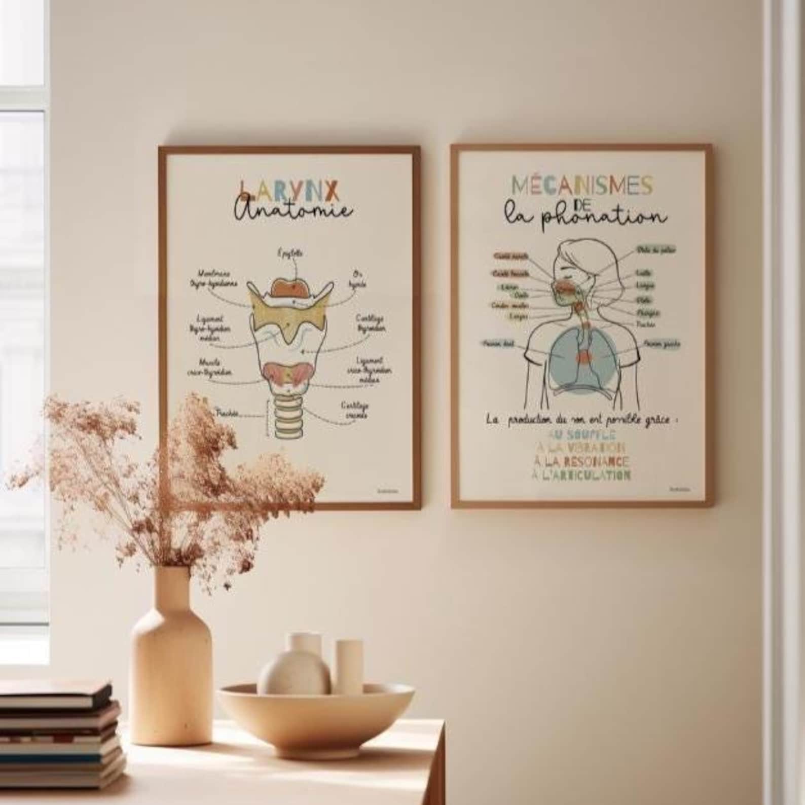 Office Decor Speech Therapy ENT, Anatomy Larynx Poster Phonation ...