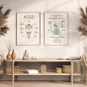 Office Decor Speech Therapy ENT, Anatomy Larynx Poster Phonation ...