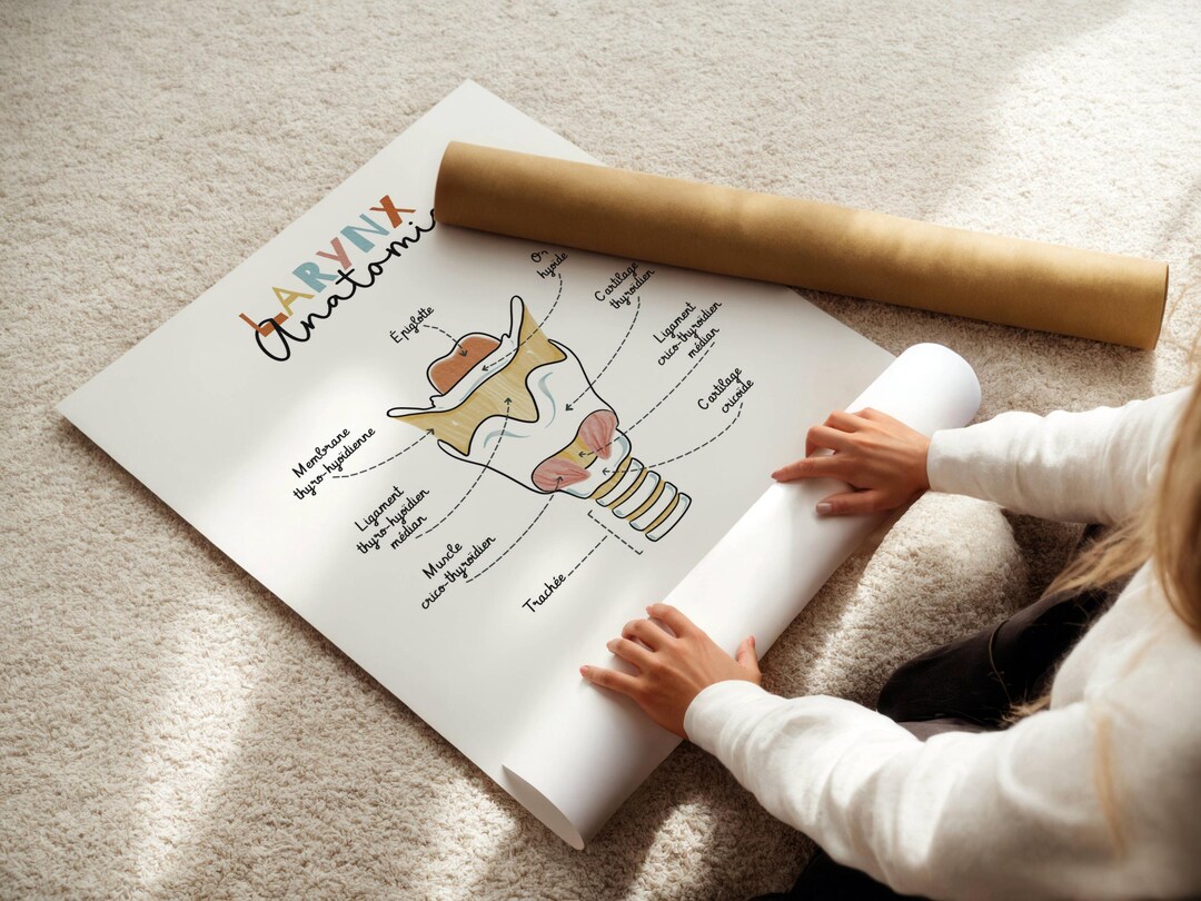 Anatomy of the Larynx in French Wall Print, SLP Office Decor, Speech ...