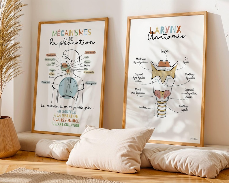 Office Decor Speech Therapy ENT, Anatomy Larynx Poster Phonation ...
