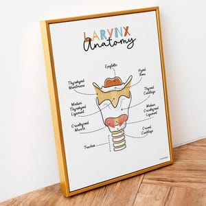 Downloadable Larynx Anatomy Poster, SLP Office Decor, Speech Therapist ...