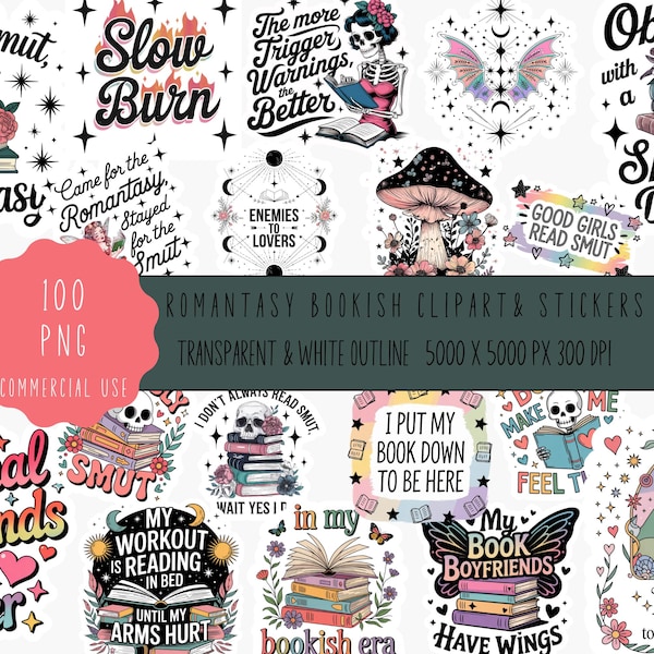 Romantasy Laptop Stickers - Etsy