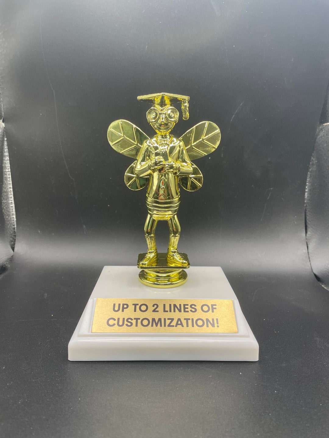 Spelling Bee Academic Trophy, Academic Award, School Trophy, A Plus ...
