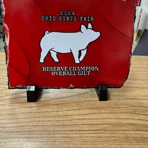 Stone Livestock Award, County Fair Award, Custom Livestock Award - Etsy