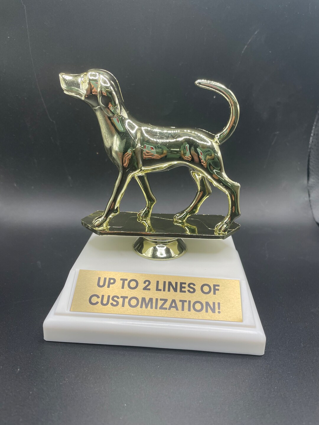 Dog Trophy, Best Dog Award, Dog Show Award, Dog Memorial Trophy, 4H Dog ...