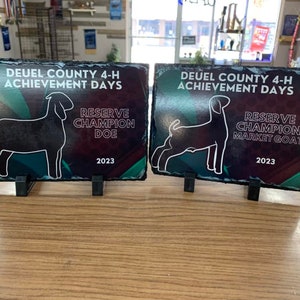 Stone Livestock Award, County Fair Award, Custom Livestock Award - Etsy