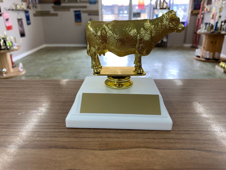 Cow Trophy, BBQ Trophy, Cookoff Trophy, Heifer Show Award, Peewee ...