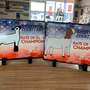 Stone Livestock Award, County Fair Award, Custom Livestock Award - Etsy
