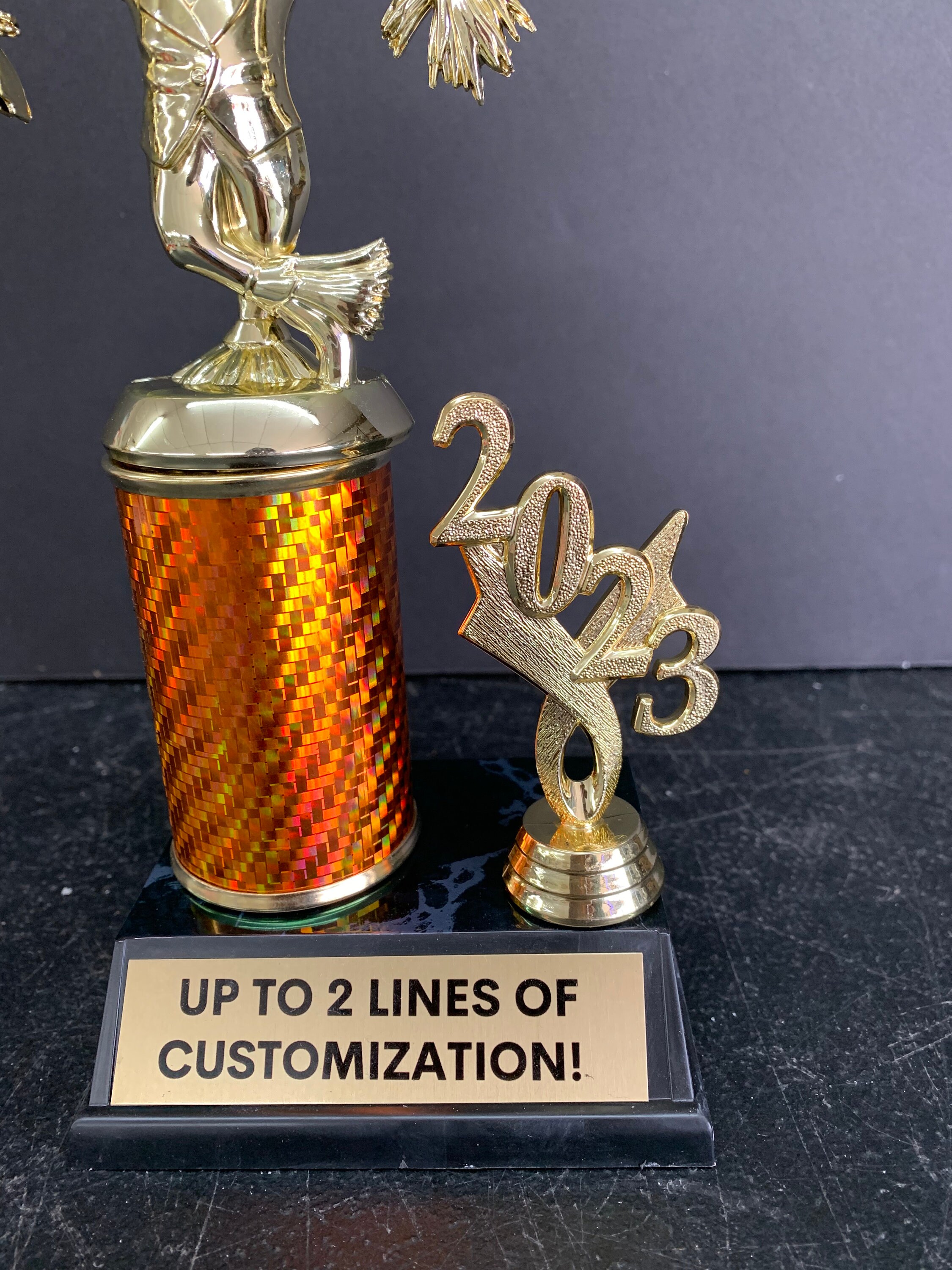 Scarecrow Fall Fest Halloween Trophy - Etsy