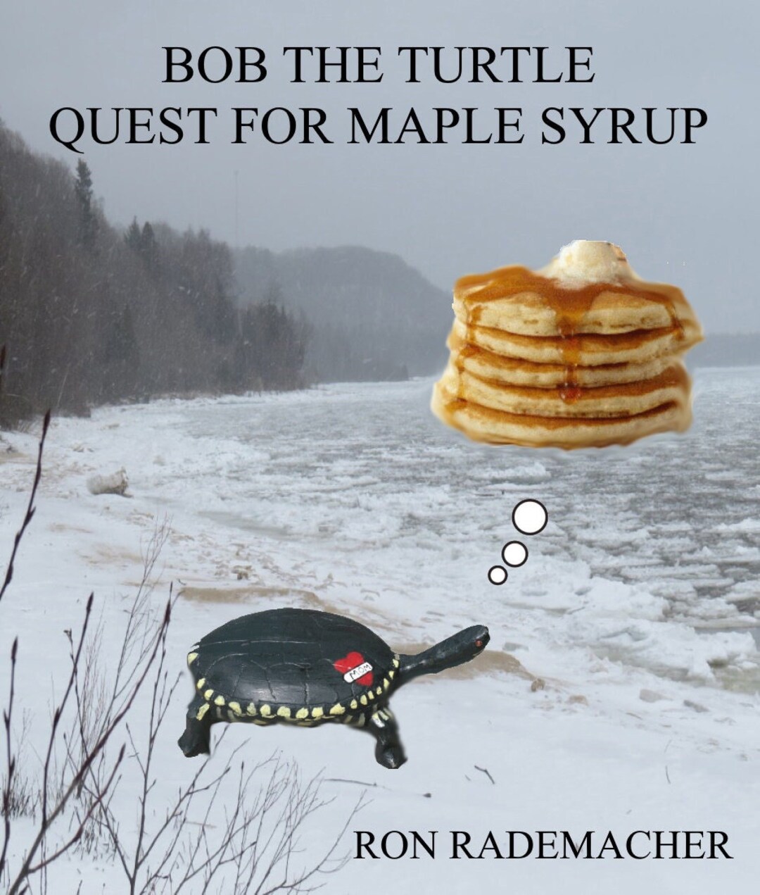 Bob the Turtle - Quest for Maple Syrup - Etsy