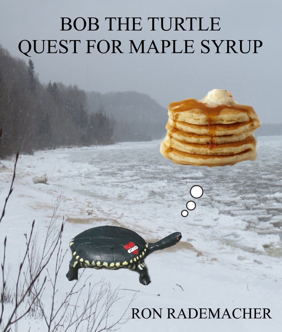 Bob the Turtle - Quest for Maple Syrup - Etsy