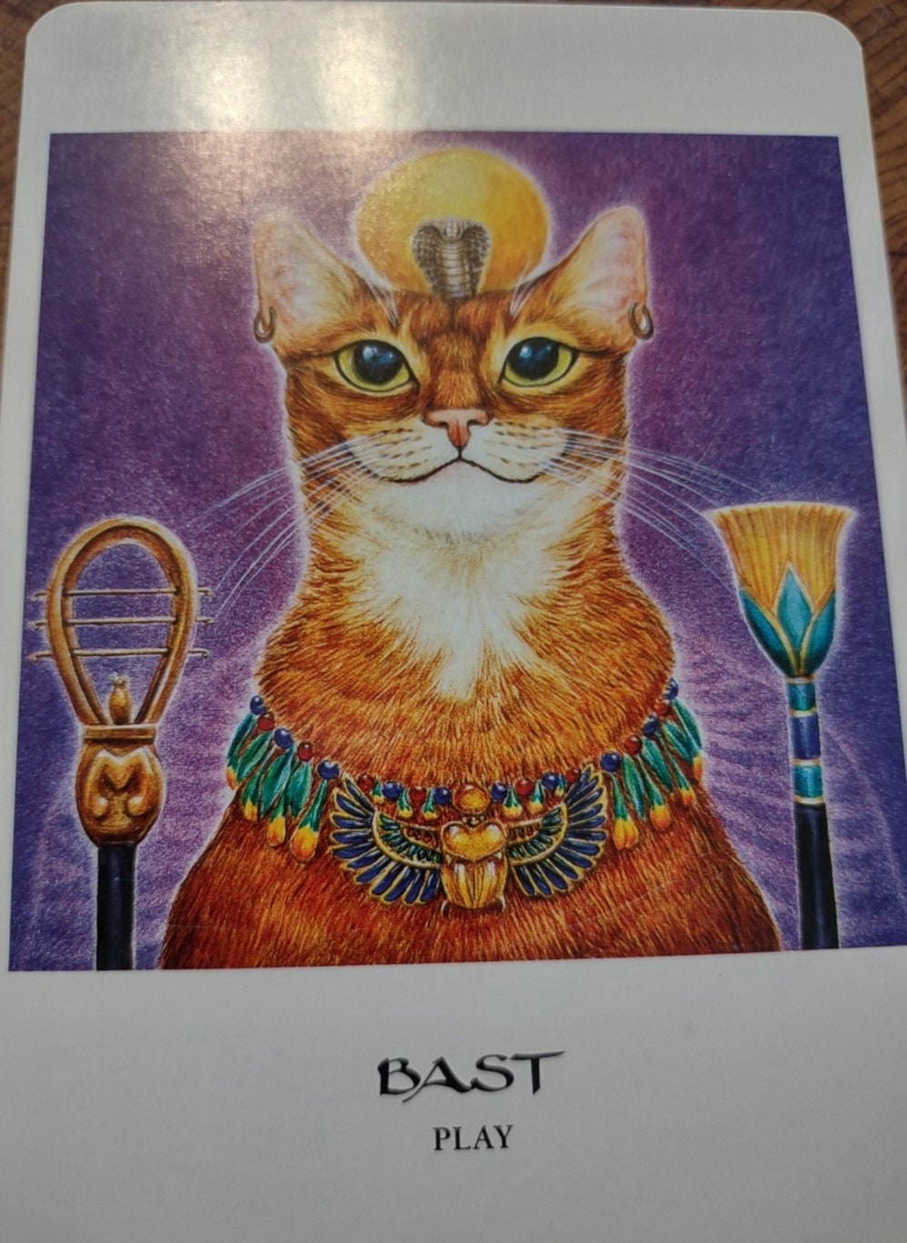 Goddess Oracle Deck Reading Same Day Reading Unlimited Cards - Etsy