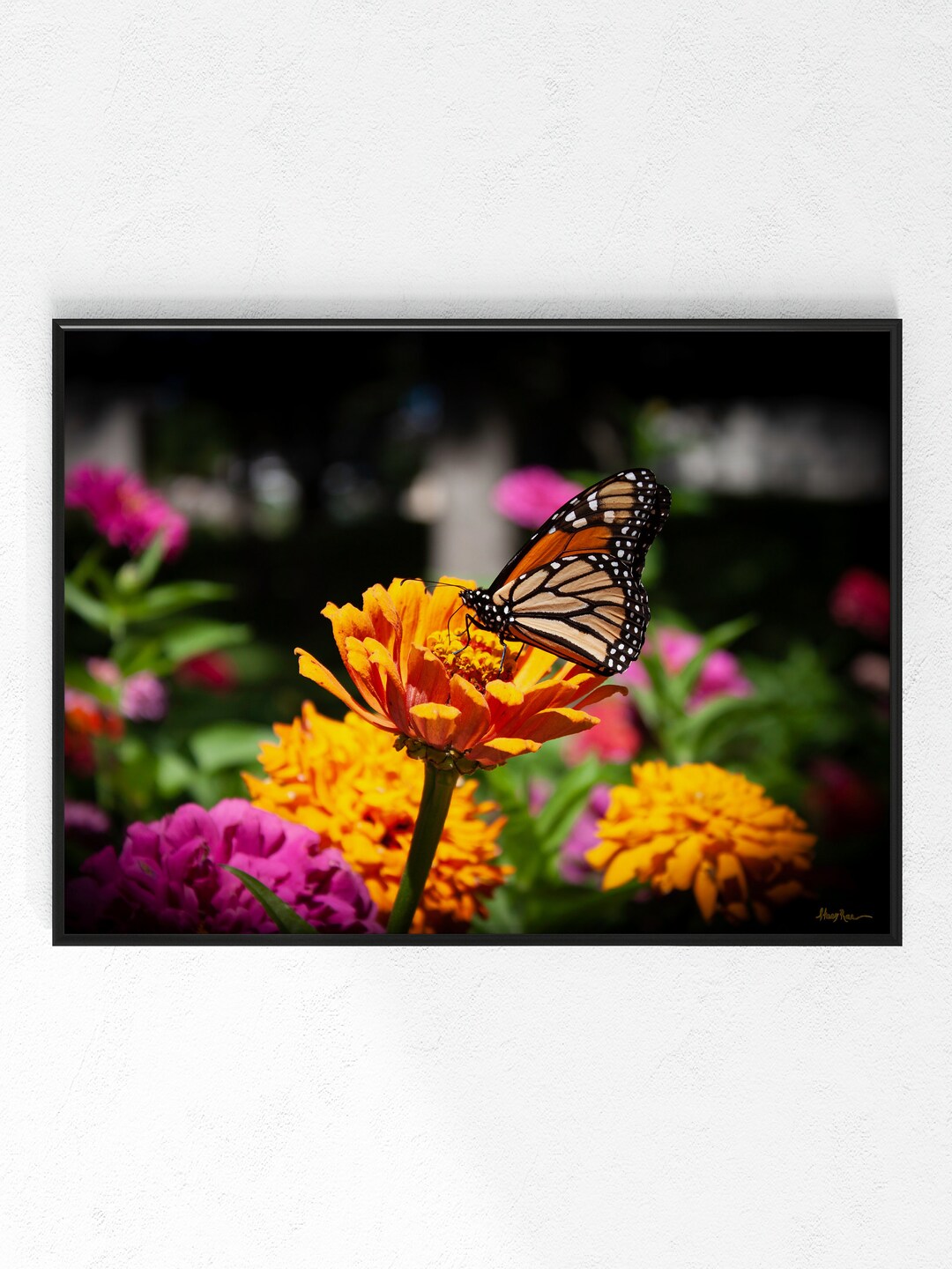 Colorful Monarch Photo Wall Art, Photography Print, Home Décor, Color ...