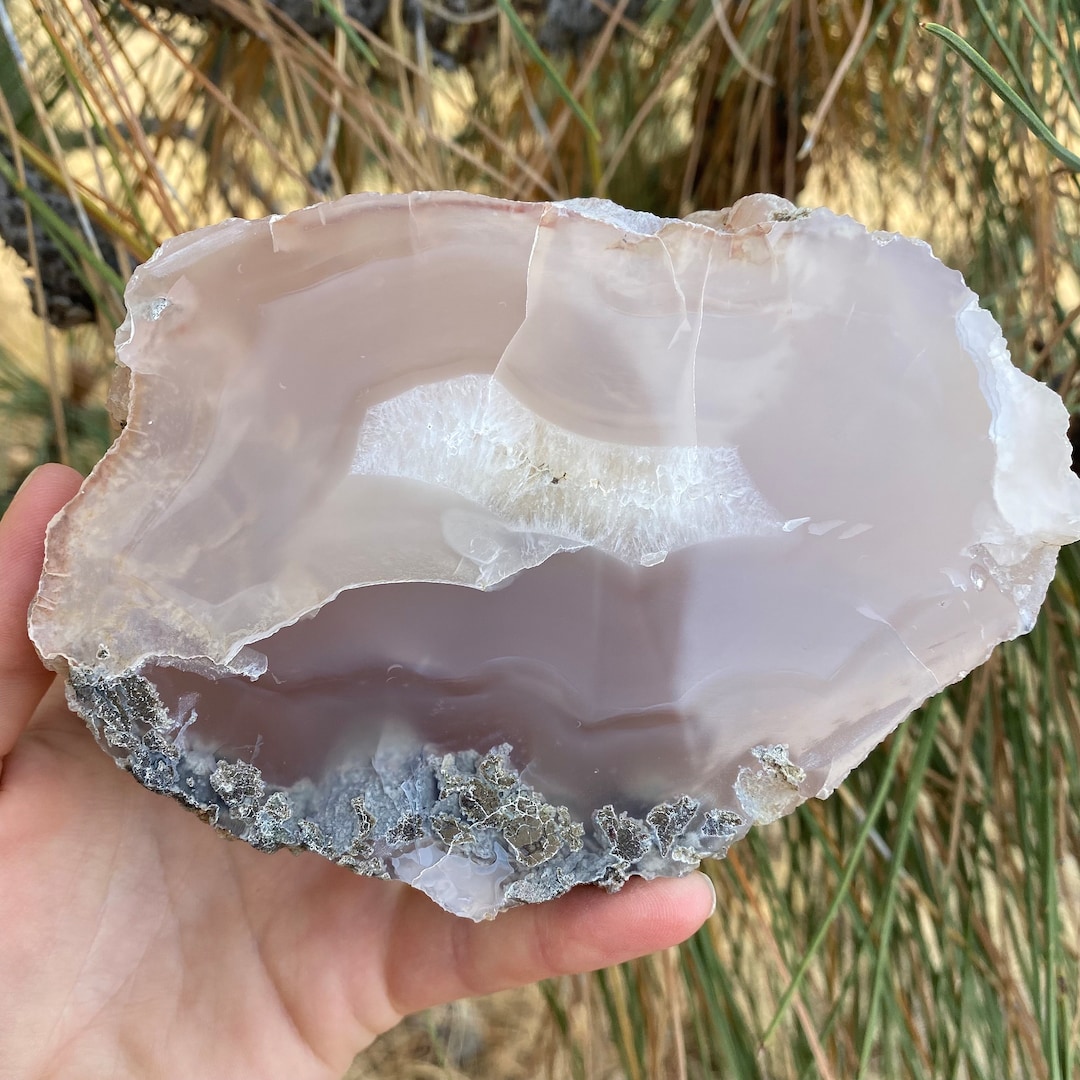 Pink Agate Limb Cast Petrified Wood From Oregon Polished Rock - Etsy