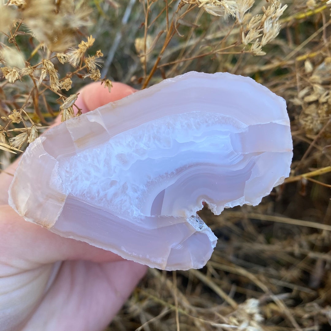 Pink Agate Limb Cast Petrified Wood From Oregon Polished Rock - Etsy