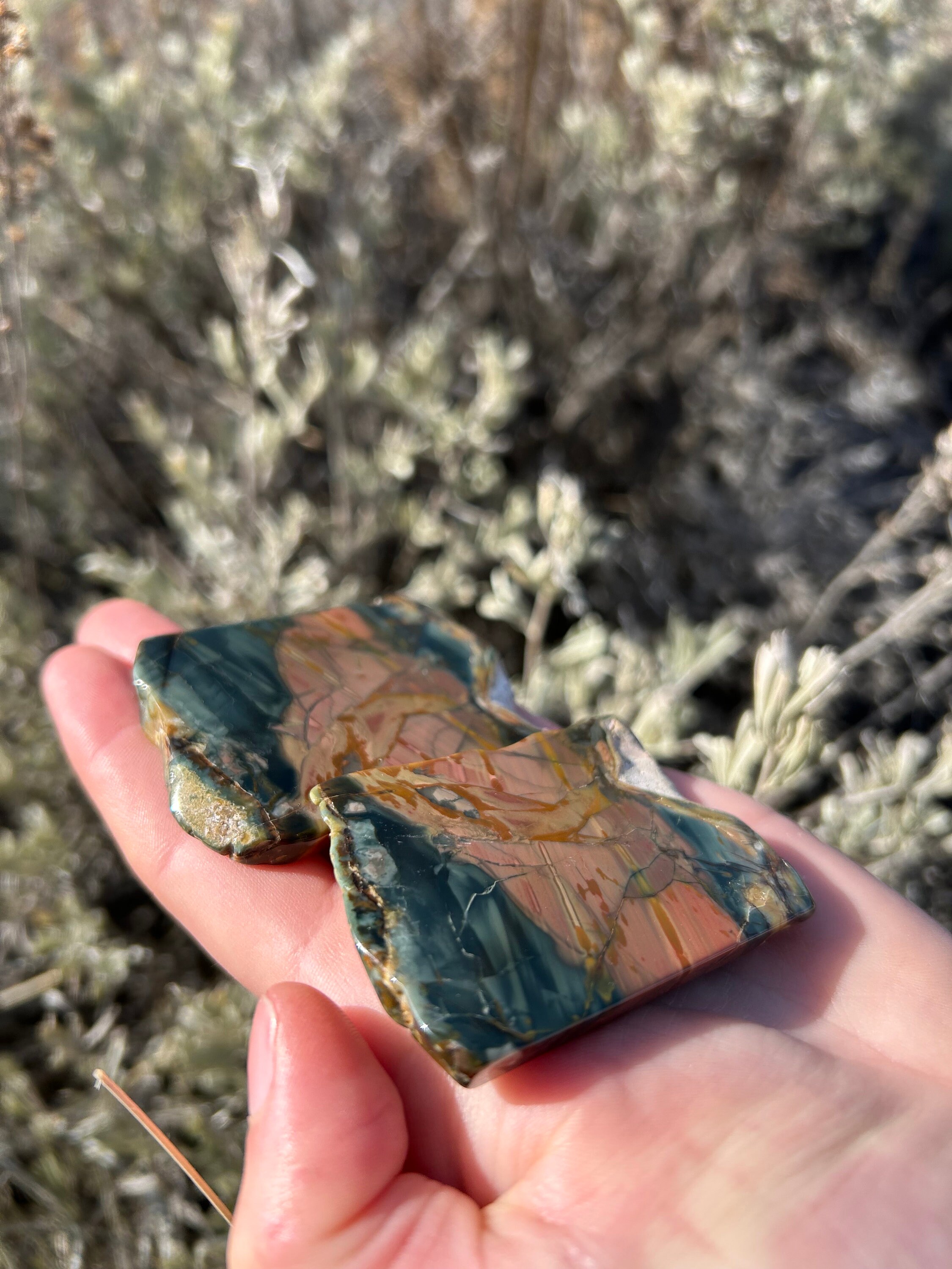 Morrisonite Scenic Picture Jasper Tumbled Specimen Pair for Display ...