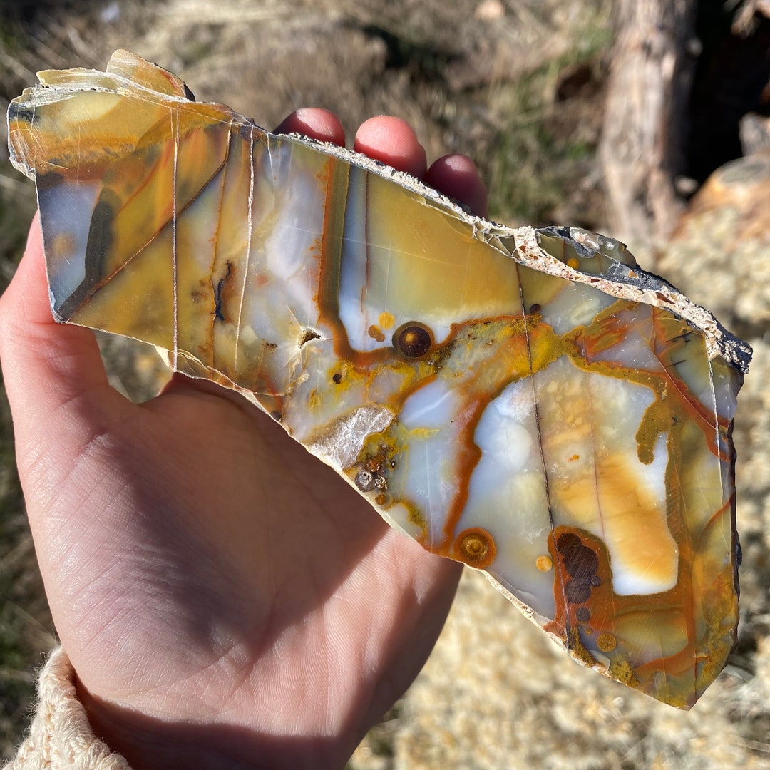 Polka Dot Agate Polished Specimen for Rock or Crystal Collection Oregon ...