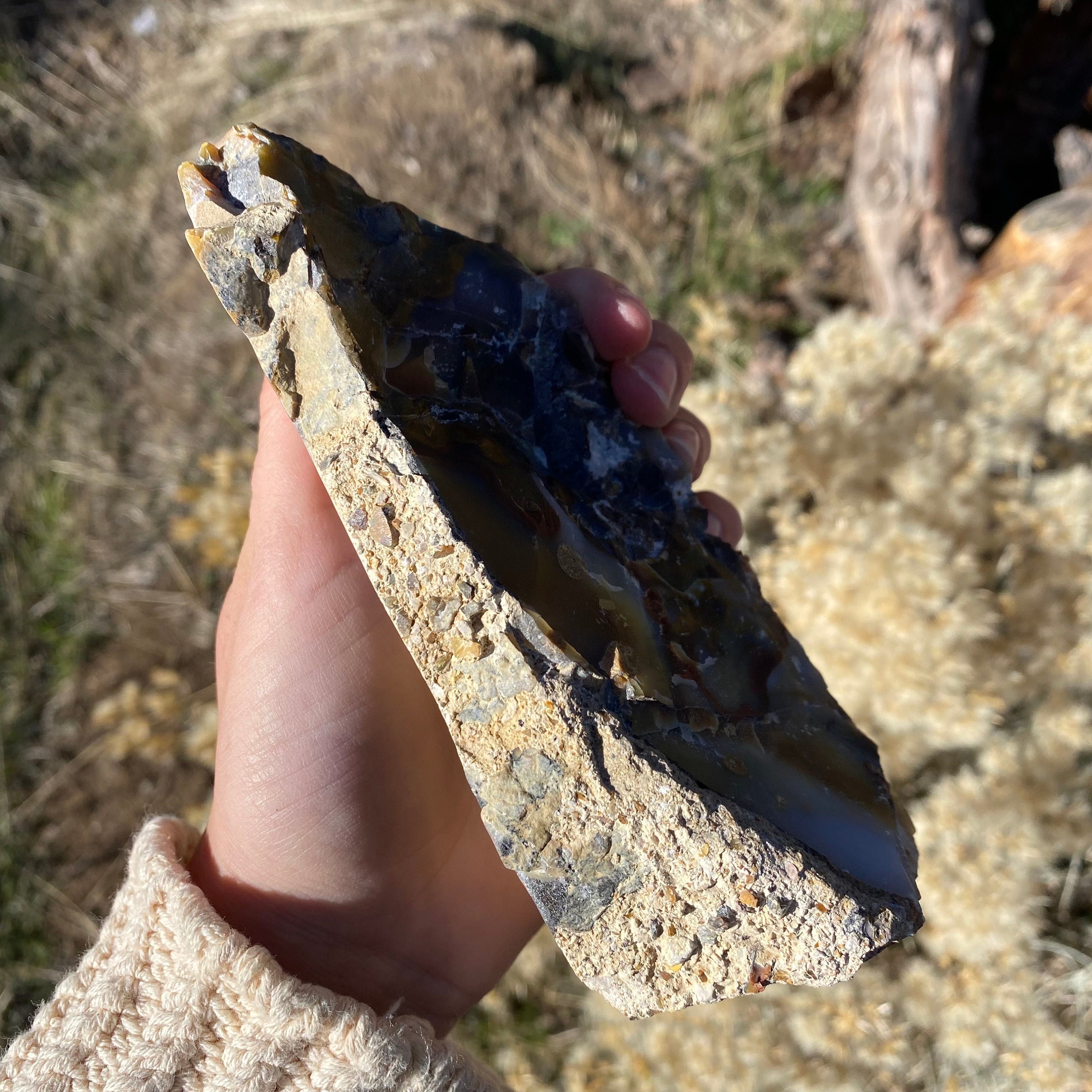 Polka Dot Agate Polished Specimen for Rock or Crystal Collection Oregon ...