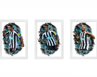 Newcastle United Cartoon - Etsy Canada