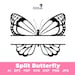 Split Butterfly Svg, Butterfly Split Monogram Svg, Butterfly Svg ...
