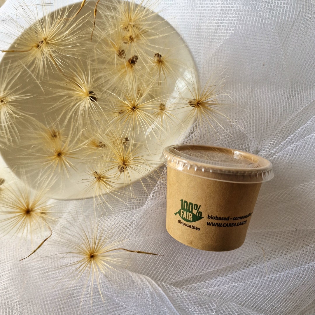 Big Pappus of Thistle, Real Plant, for Art Craft Like Making Resin ...