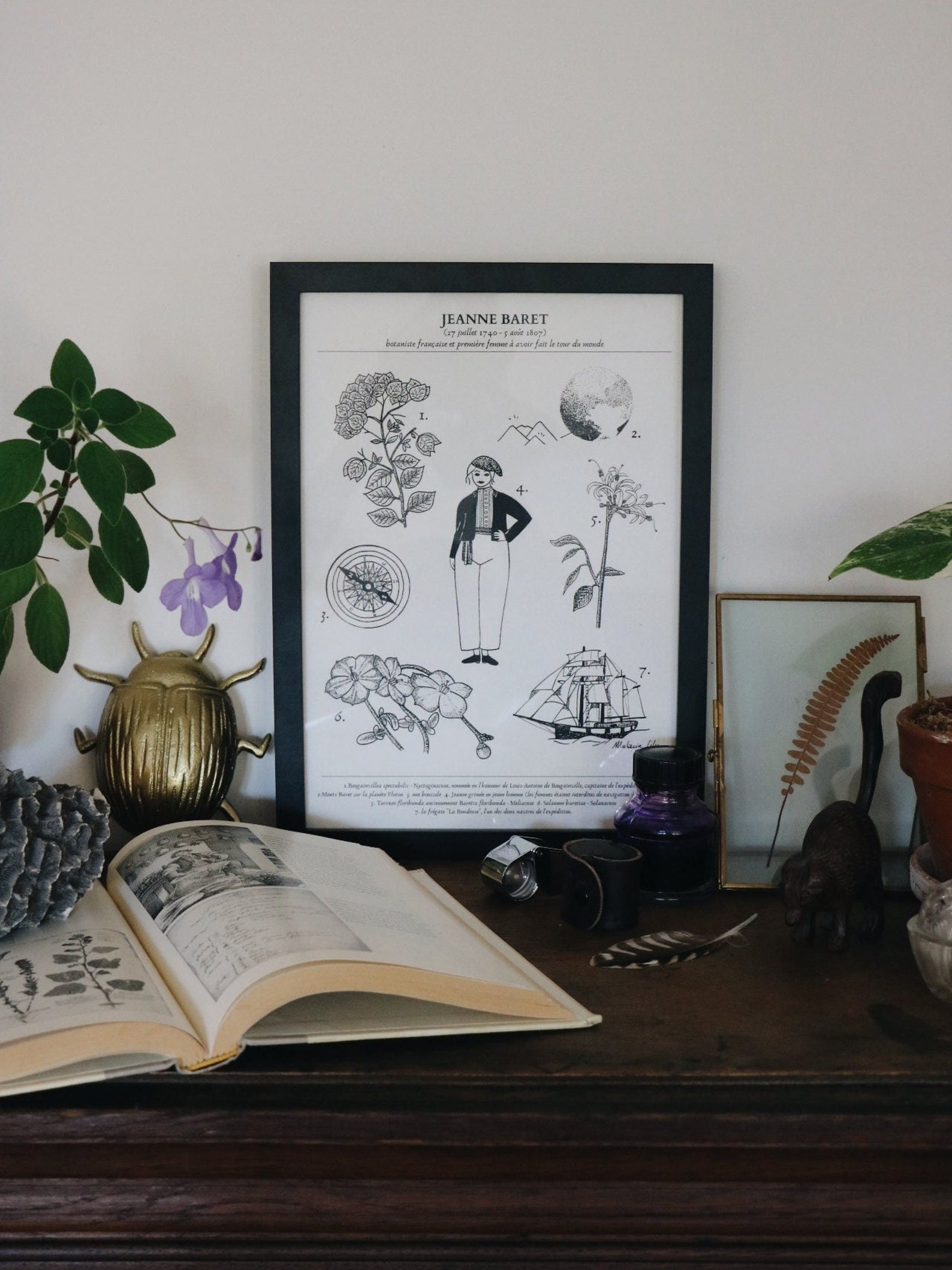 Illustration A4 Jeanne Baret botaniste française - Etsy France