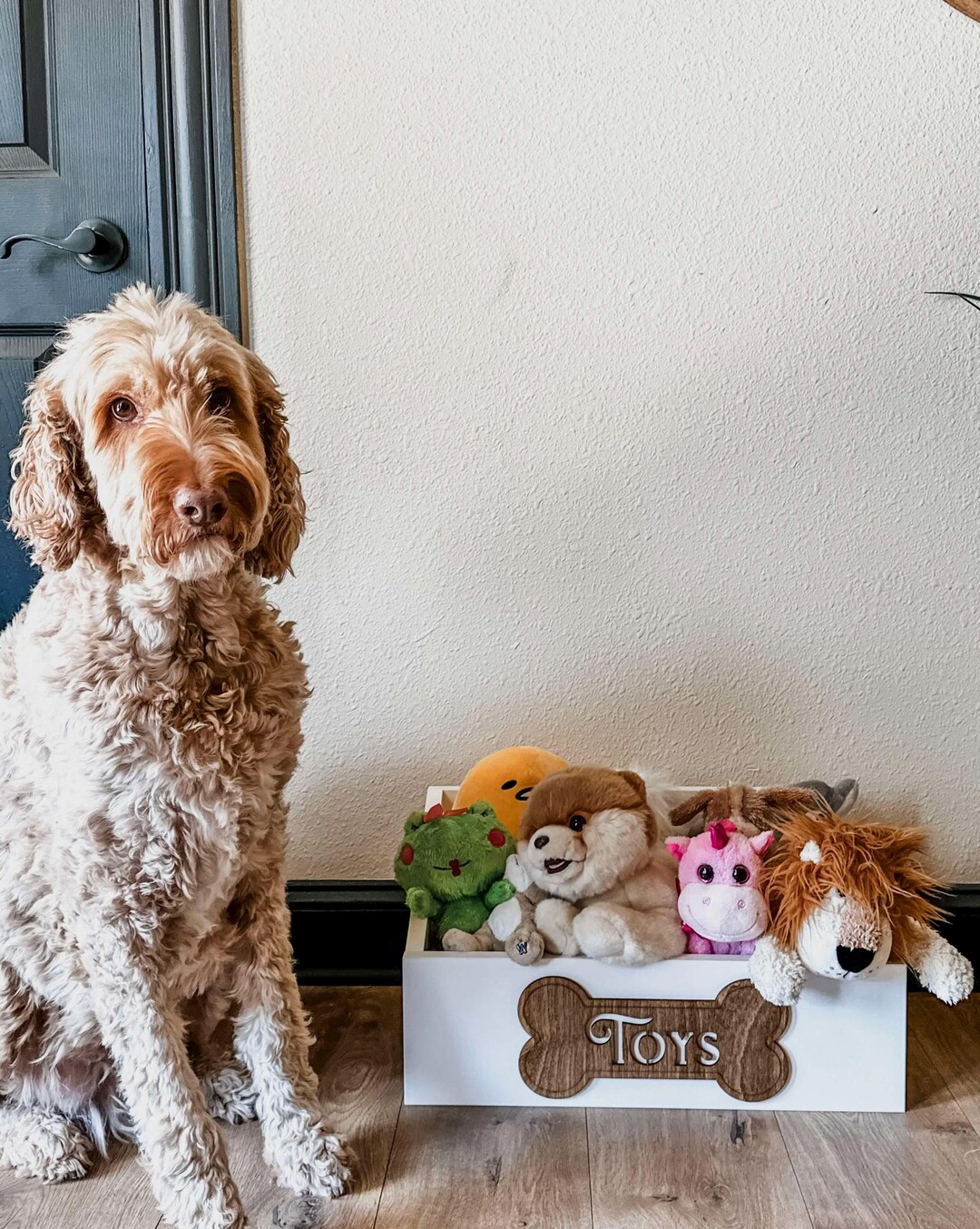 Pet Toy Box, Laser Engraved Name Tag, Dog Toy Box, Cat Toys, Small ...