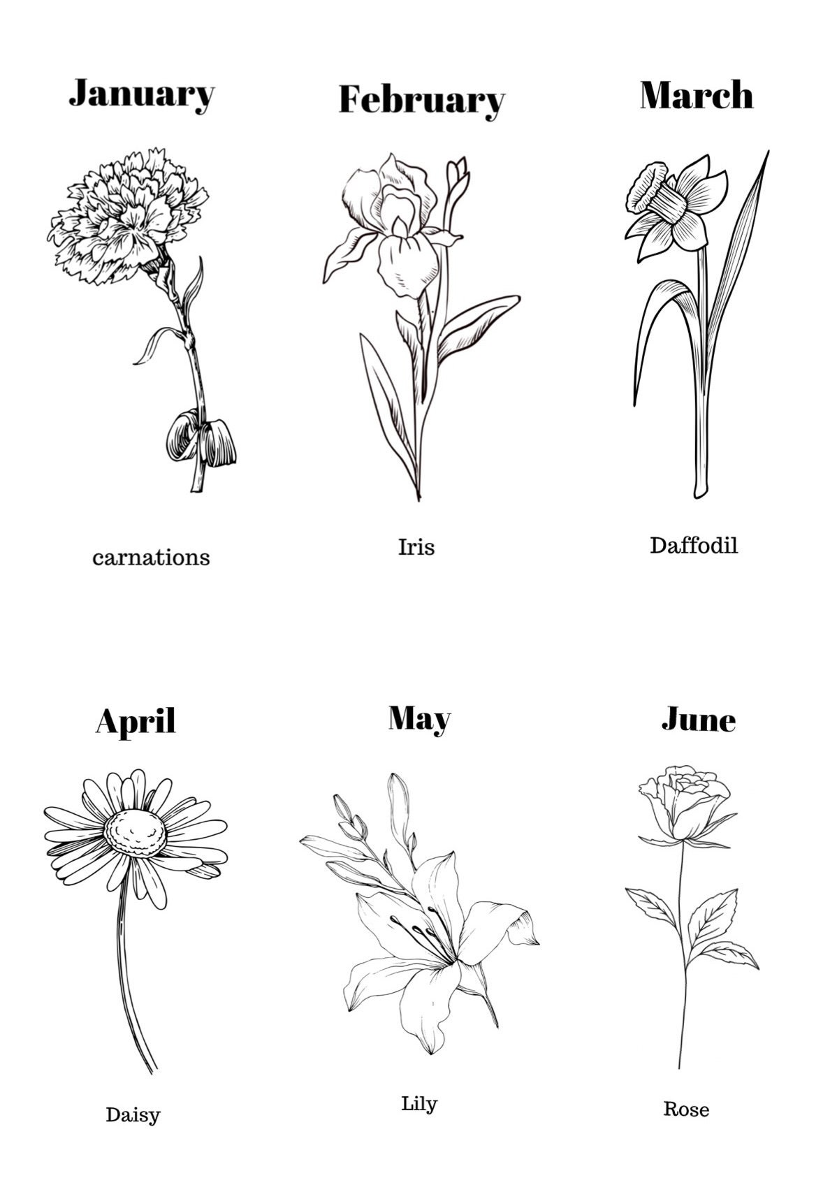 Digital Customizable Family Birth Flower Bouquet Birth Month - Etsy