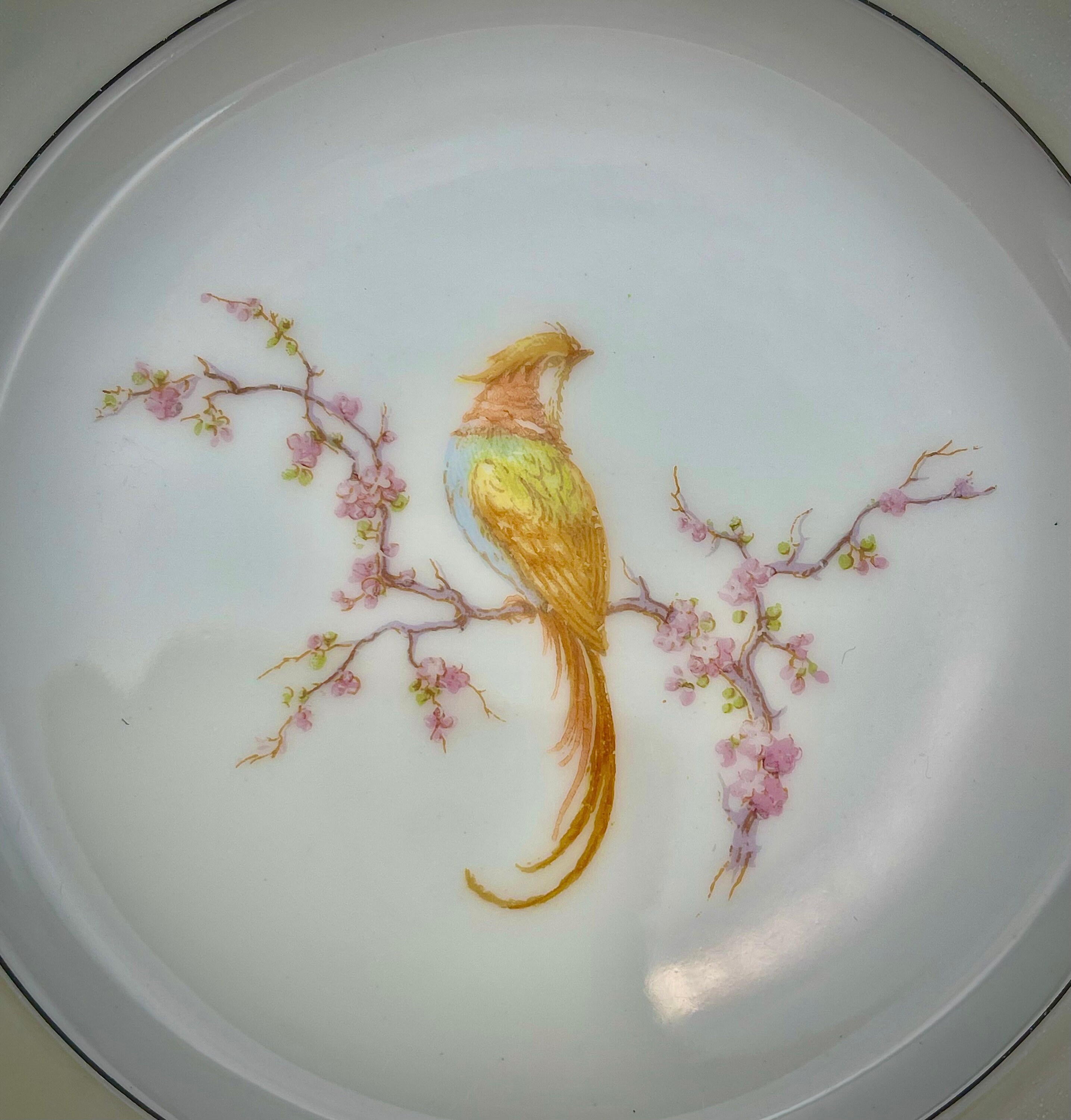 Theodore Haviland Limoges France Bird of Paradise Design in the ...